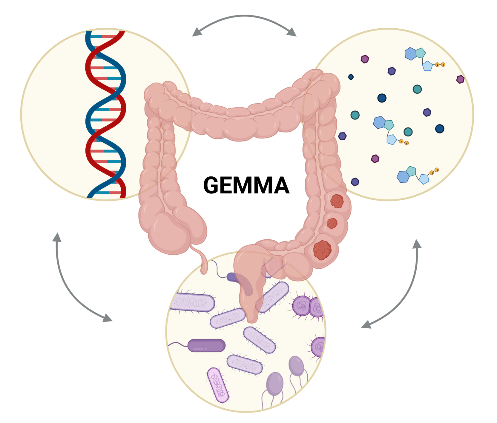 Advanced metabolomics – Precision medicine and innovation